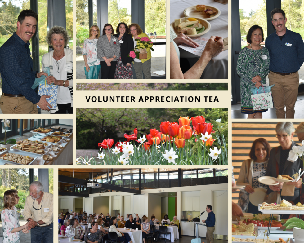 2025 Volunteer Appreciation Tea | ONE TO ONE